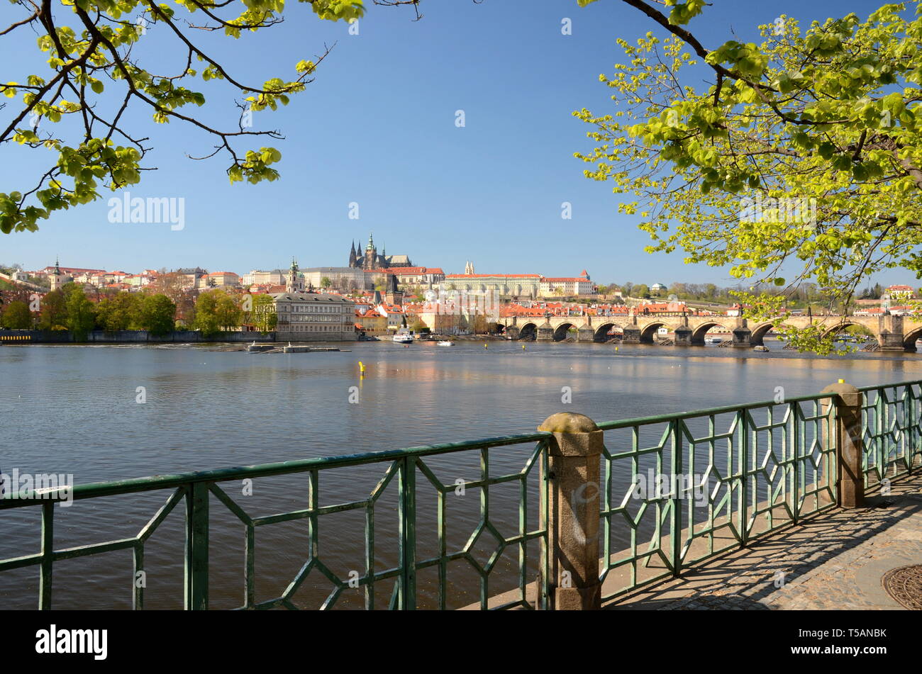 Charles bridge architecture hi-res stock photography and images - Alamy