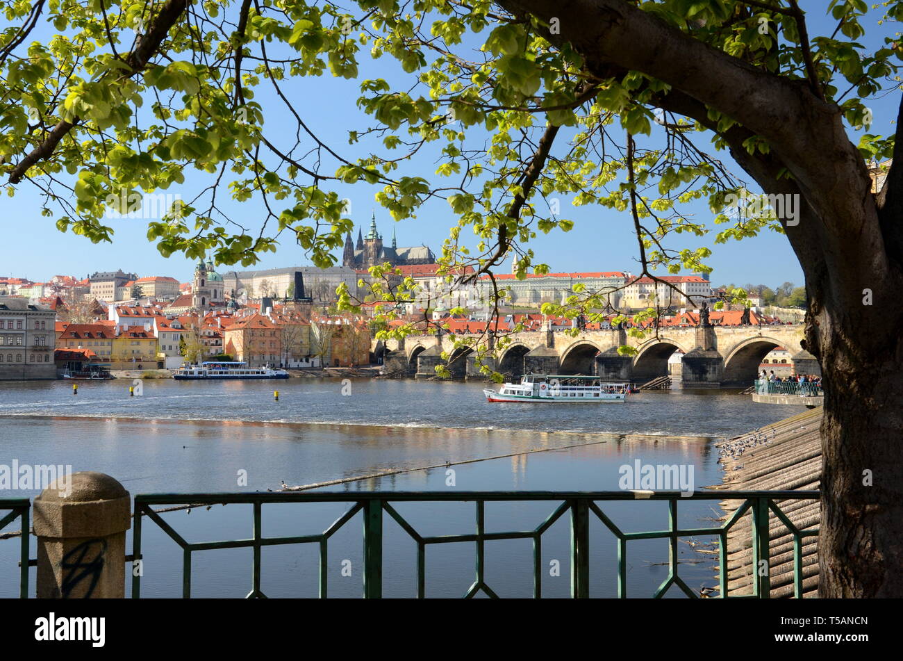 Charles bridge architecture hi-res stock photography and images - Alamy