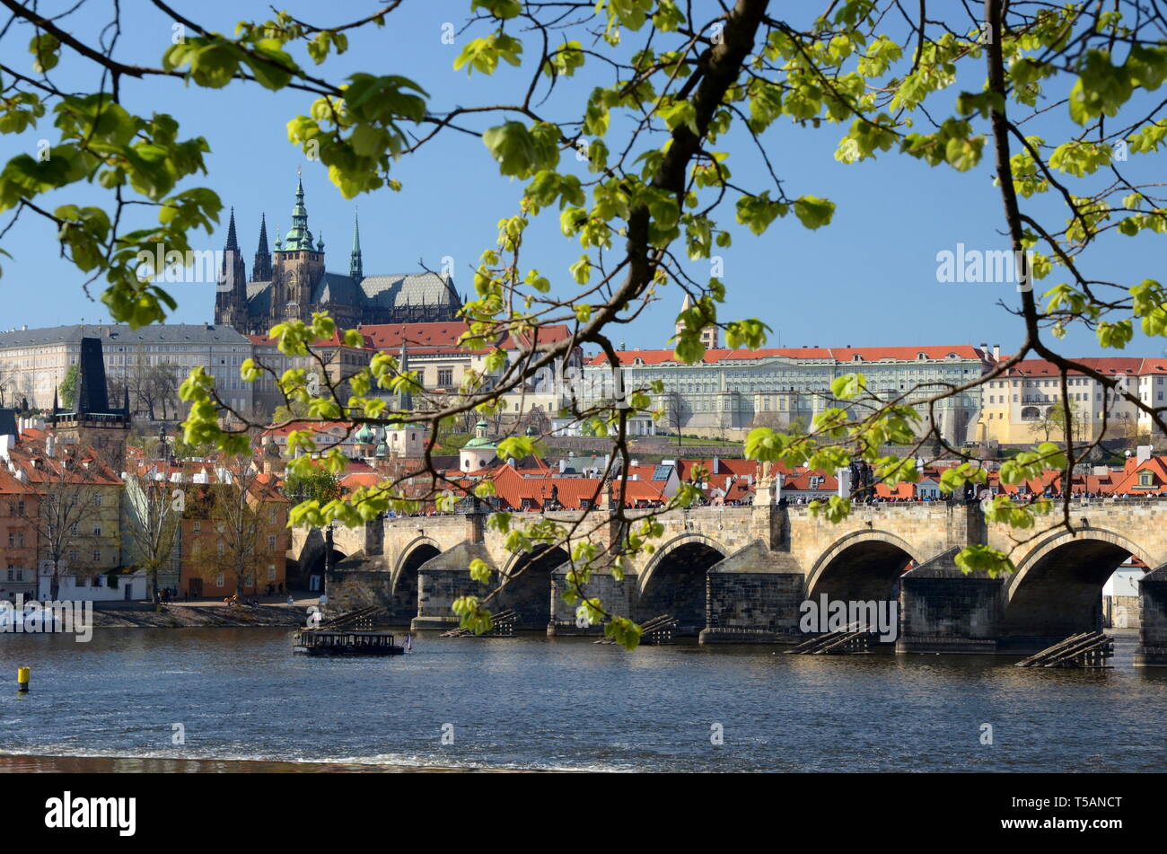 Charles bridge architecture hi-res stock photography and images - Alamy