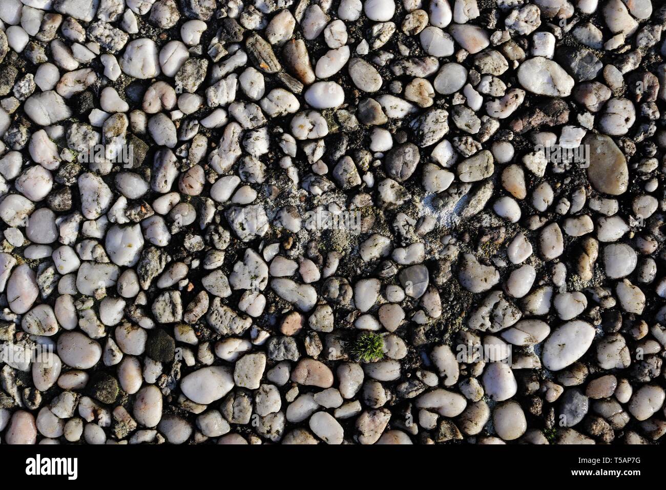 High resolution close up surface texture of gravel on the ground with ...