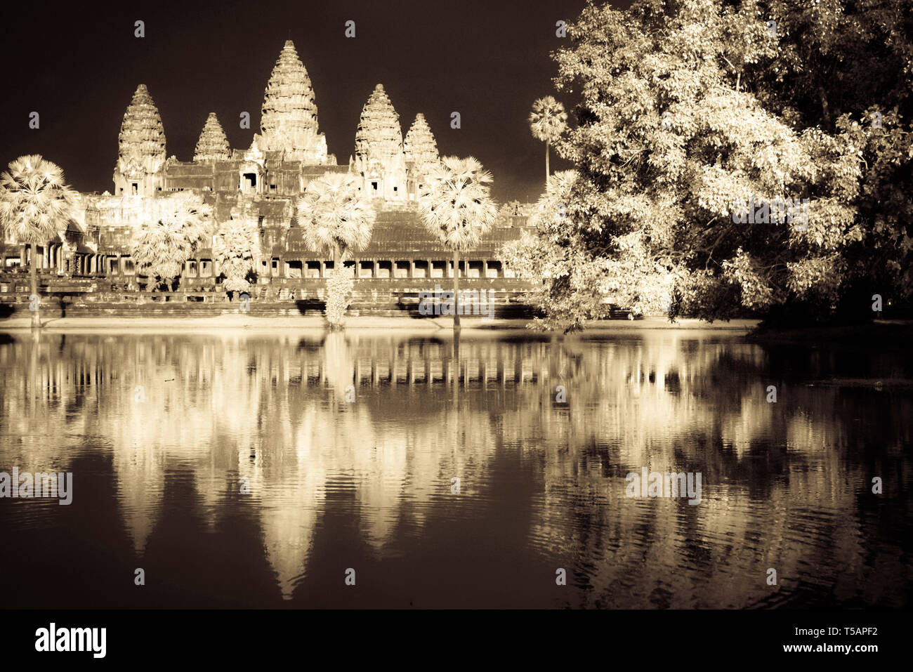 Black & White of Angkor Wat Stock Photo - Alamy