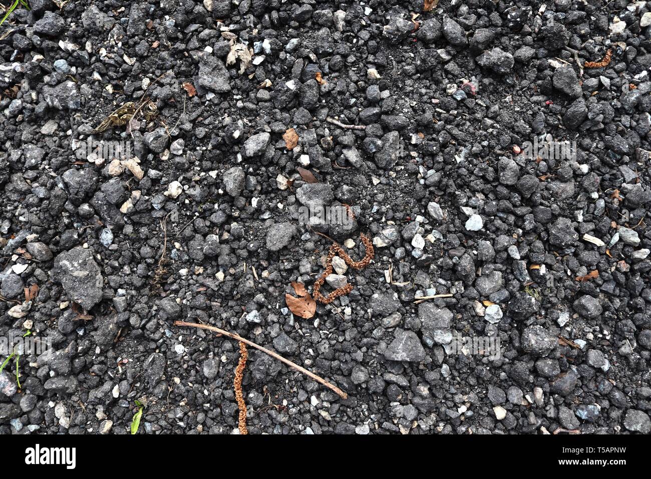 High resolution close up surface texture of gravel on the ground with ...