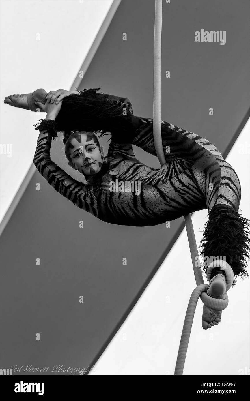Aerilist Black and White Stock Photos & Images - Alamy