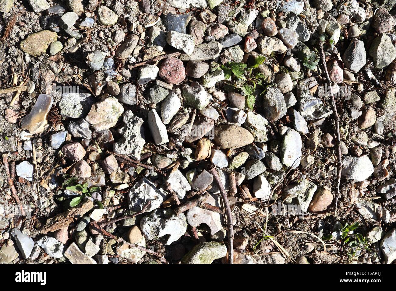 High resolution close up surface texture of gravel on the ground with ...