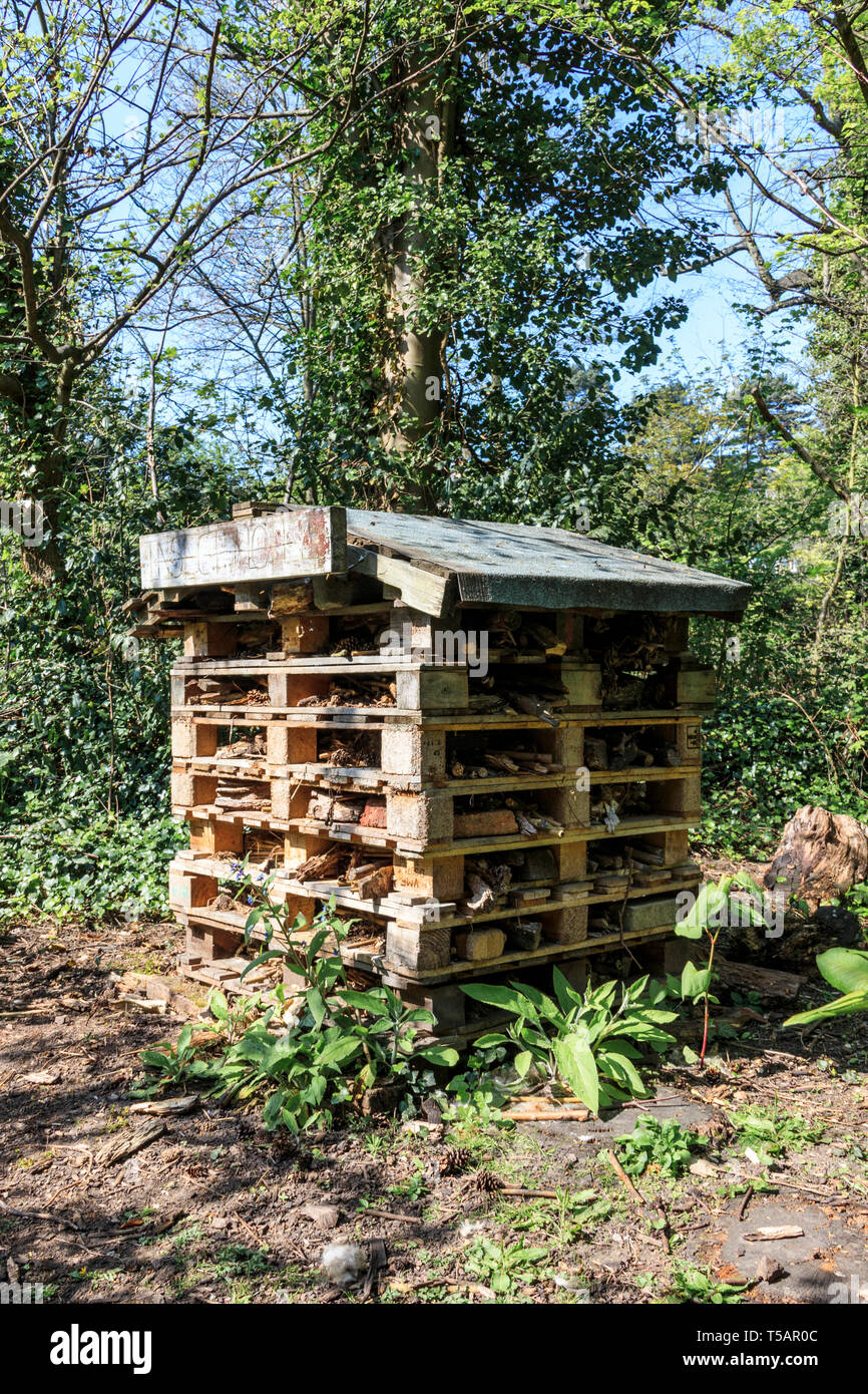 An 'insect hotel' made from old wooden palettes to create a habitat for ...