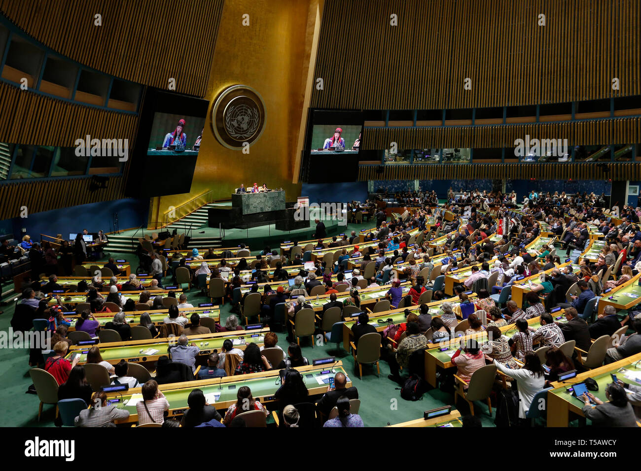 Un permanent forum on indigenous issues hi-res stock photography and ...