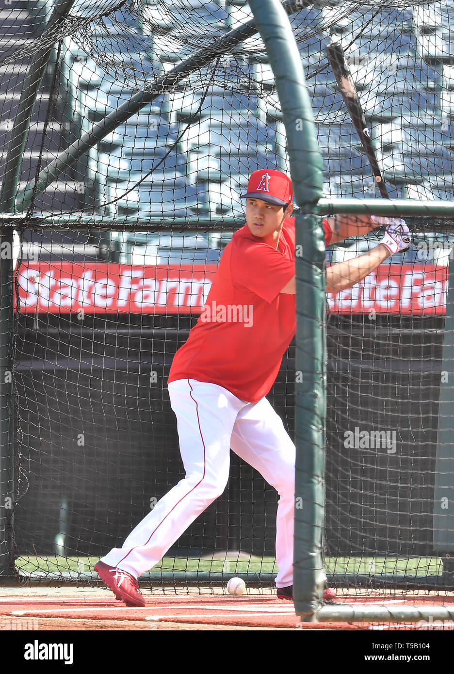 Los Angeles Angels' Shohei Ohtani takes batting practice before the ...