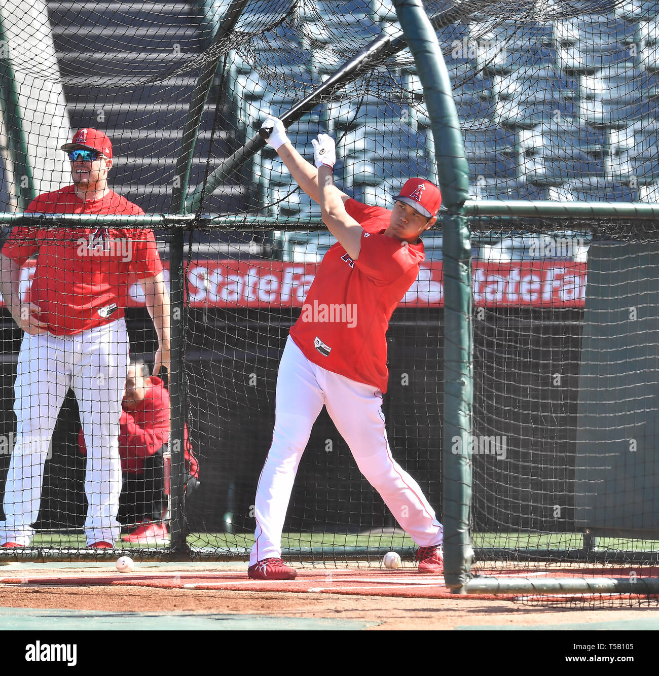 Los Angeles Angels' Shohei Ohtani takes batting practice before the ...