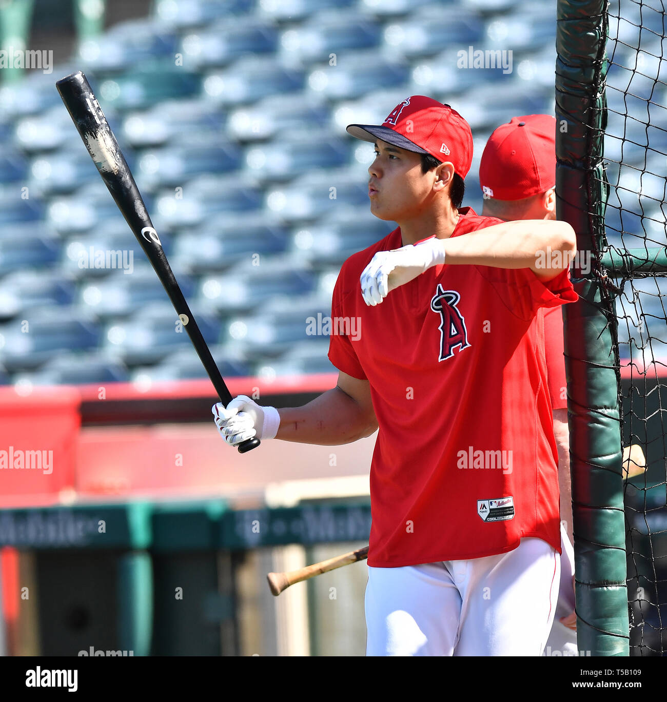 Los Angeles Angels' Shohei Ohtani takes batting practice before the ...