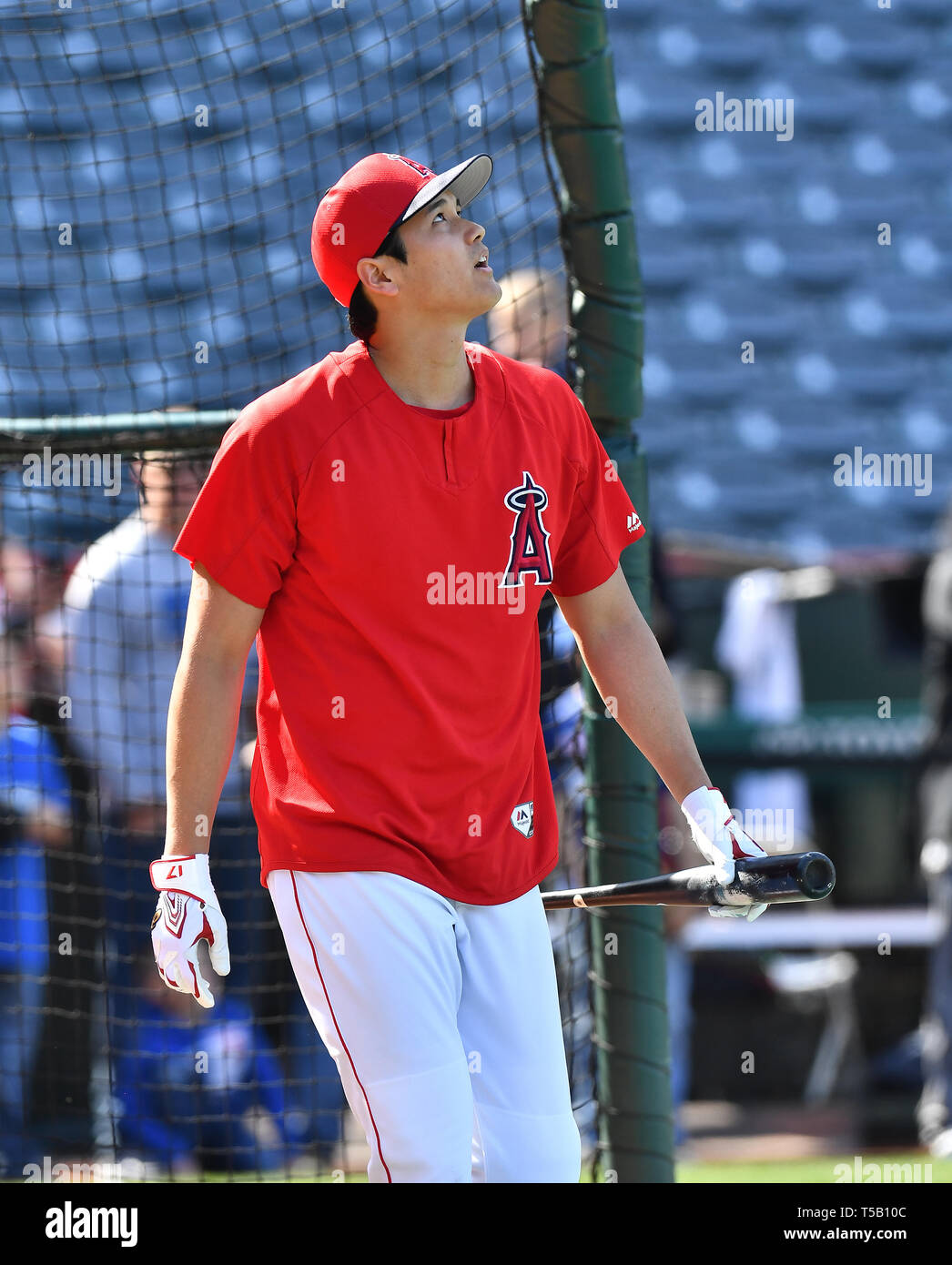 Los Angeles Angels' Shohei Ohtani takes batting practice before the ...