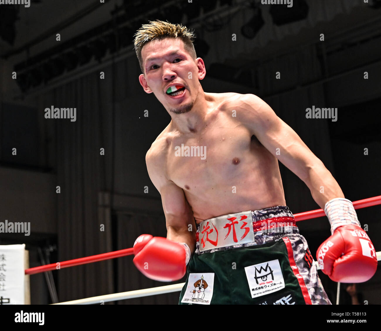 Tokyo, Japan. 18th Apr, 2019. Yuta Saito (JPN) Boxing : Yuta Saito of ...