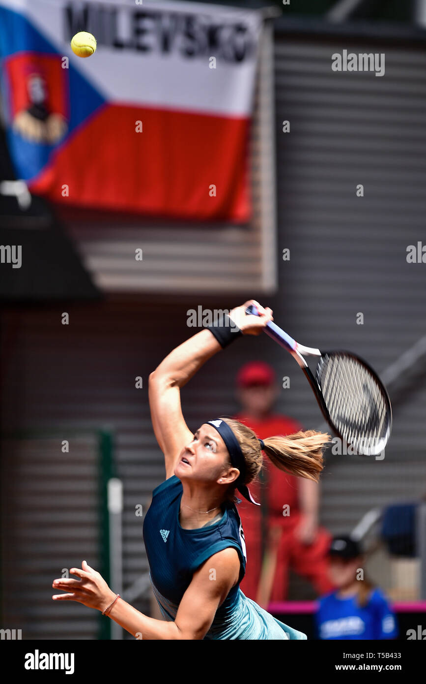 Karolina Muchova Tennis Player High Resolution Stock Photography and ...