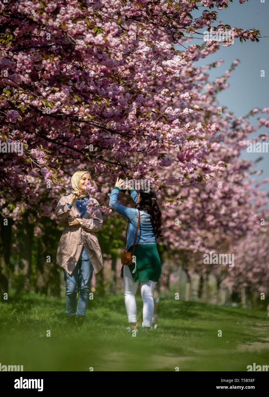 Lichterfelde south hi-res stock photography and images - Alamy