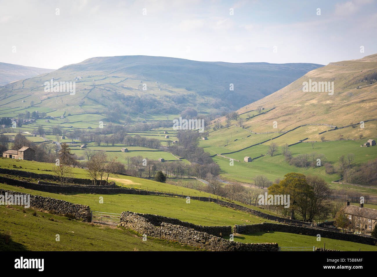 Upper Swaledale in the Yorkshire Dales Stock Photo - Alamy