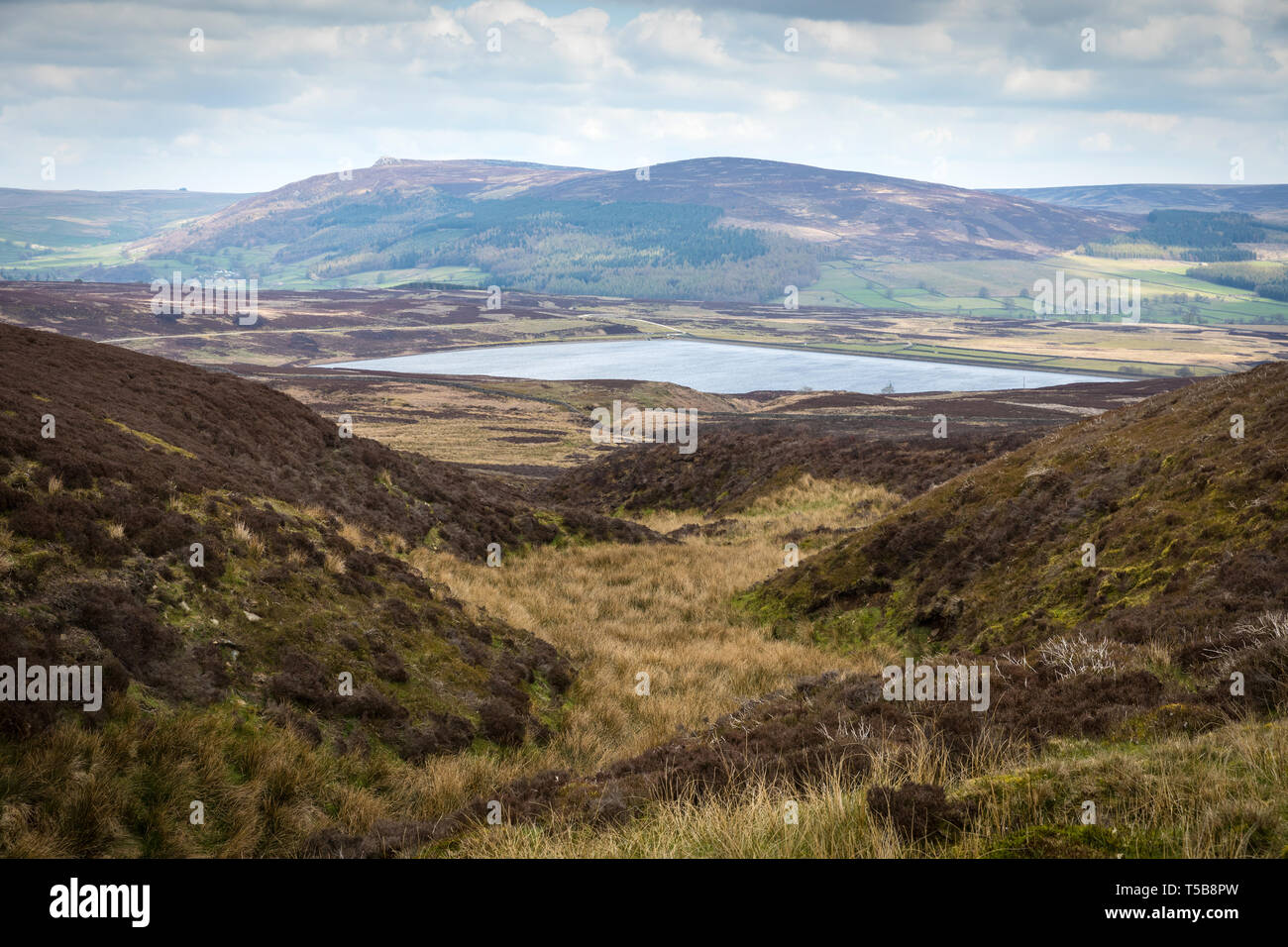 Barden Moor and Lower Barden Reservoir in the Yorkshire Dales, with ...