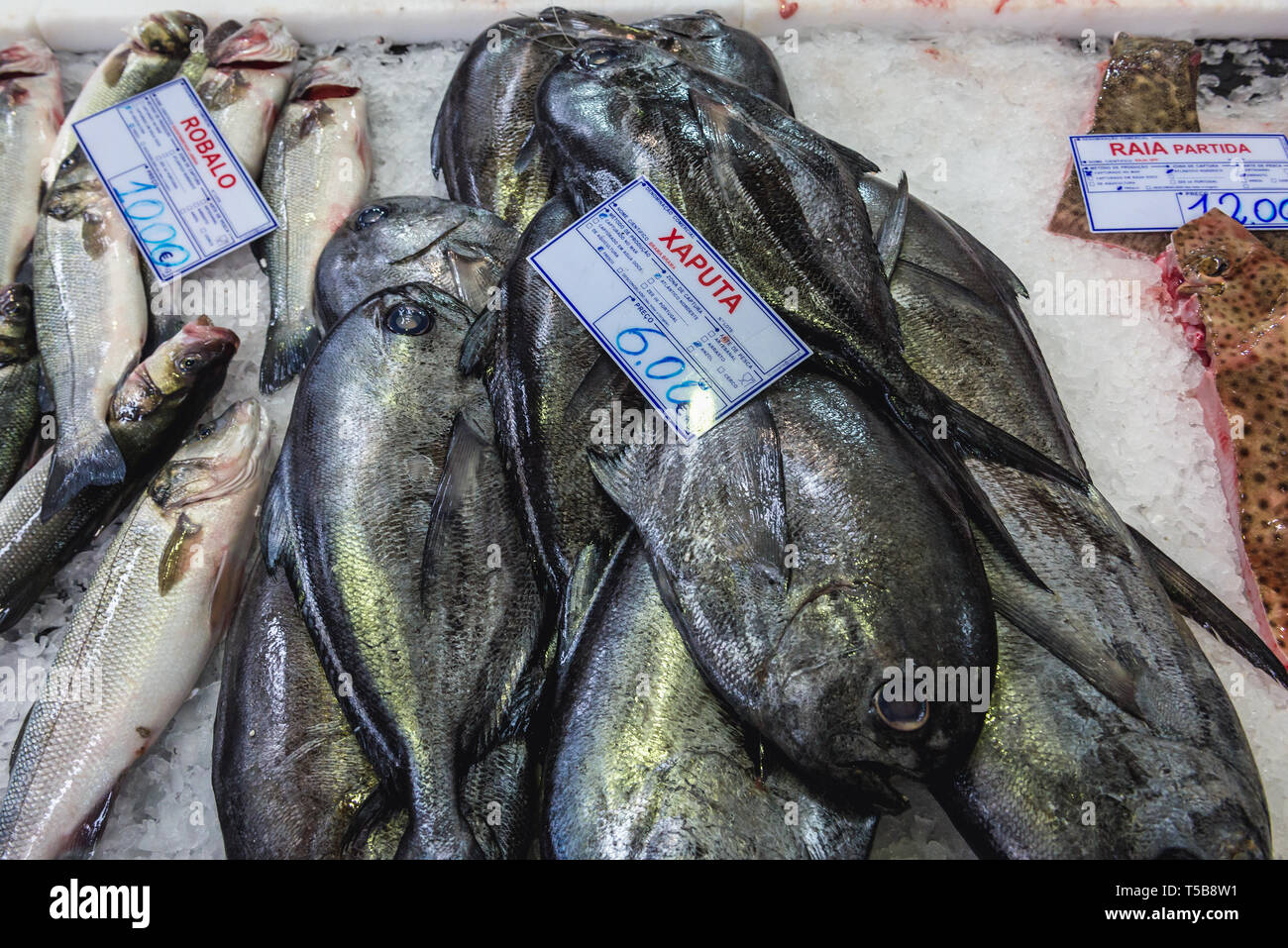 Brama brama fish - Atlantic pomfret or Ray's bream on Mercado do ...