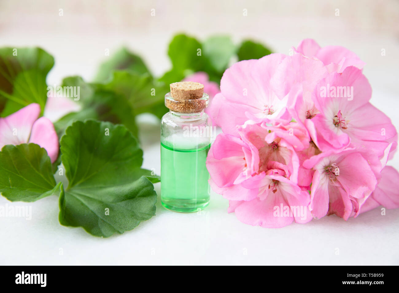 Geranium extract hi-res stock photography and images - Alamy