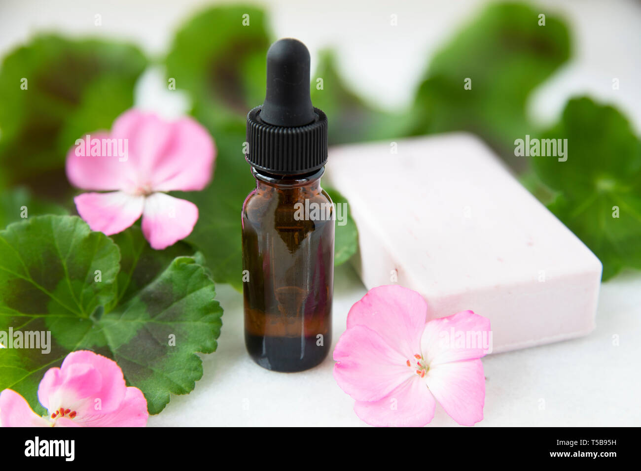 Plant extract in dropper bottle with geranium leaves, pink flowers and ...