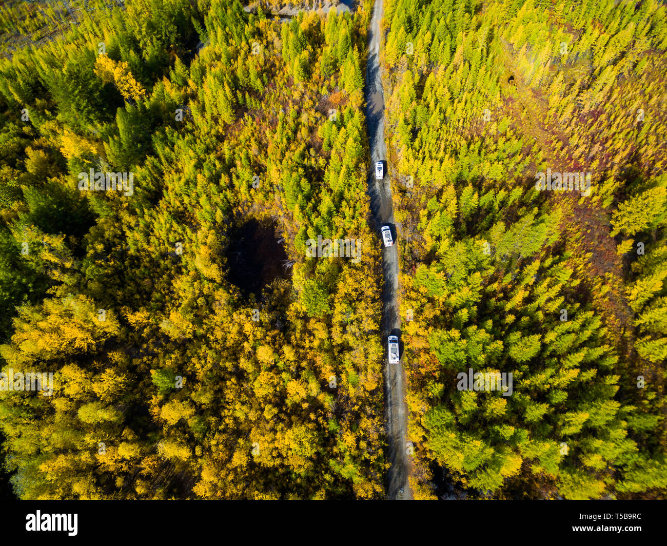 Overhead freeway trees hi-res stock photography and images - Alamy