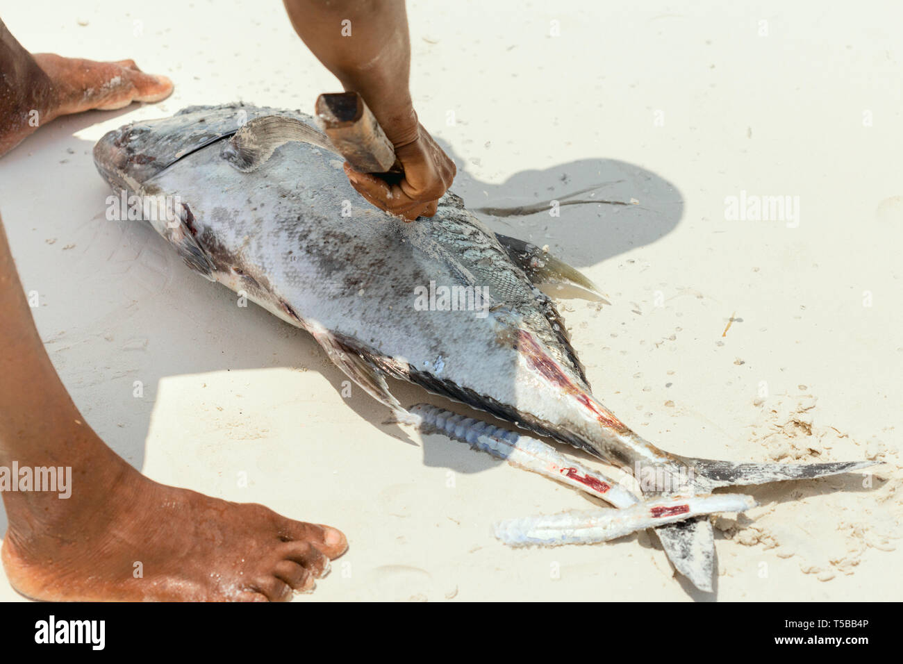 Man beach eating meat hi-res stock photography and images - Alamy
