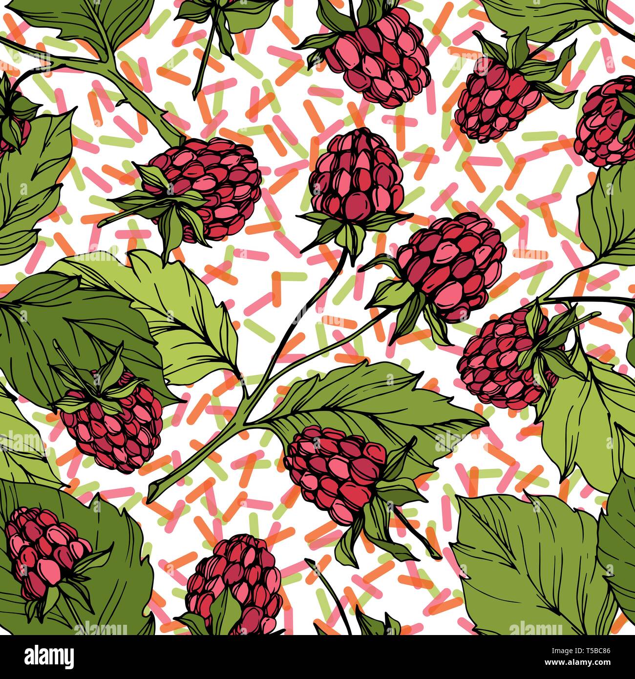 Vector Raspberry healthy food isolated. Red and green engraved ink art ...