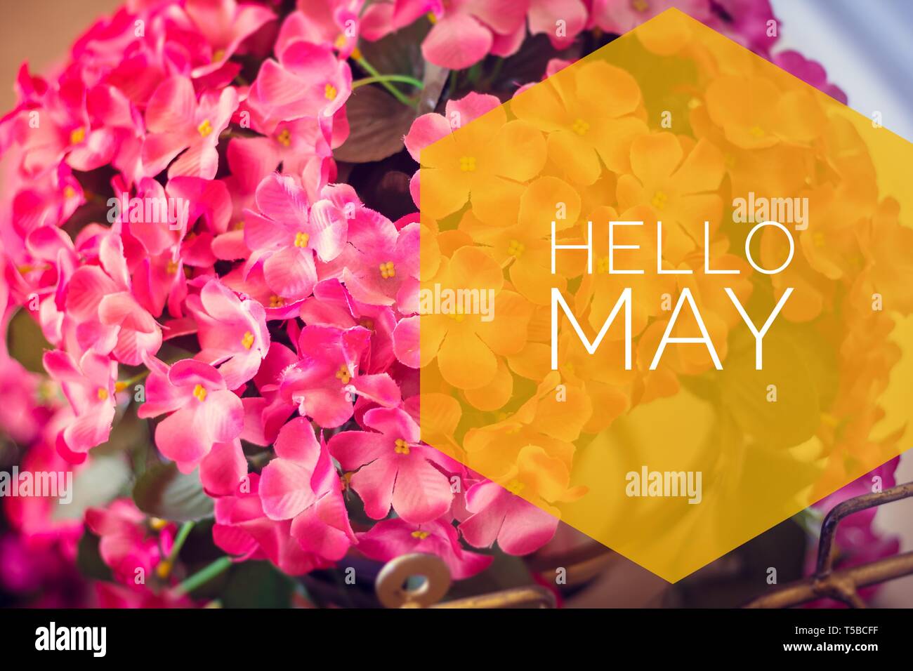 Month Of May Flower