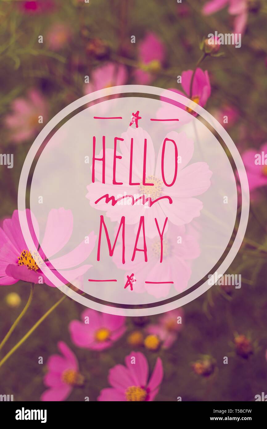 Banner Hello May. Greeting the new month. Picture with flowers. Text on ...