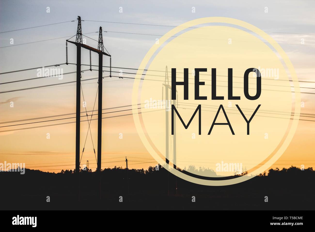 Banner Hello May. Greeting the new month. Hi spring. The text in the ...