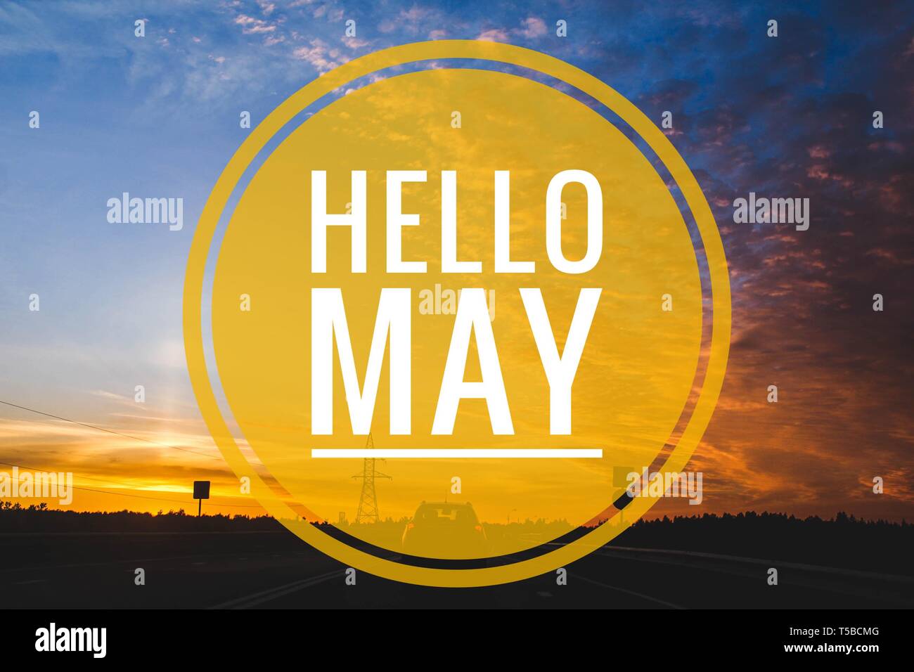 Banner Hello May. Greeting the new month. Hi spring. The text in the ...