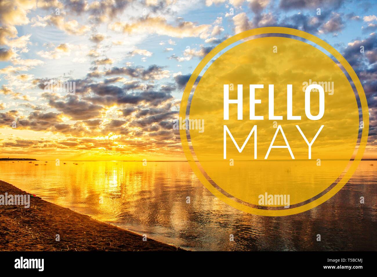 Banner Hello May. Greeting the new month. Hi spring. The text in the ...