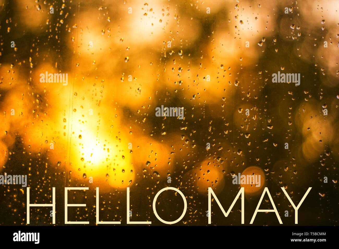 Banner Hello May. Greeting the new month. Hi spring. The text in the ...