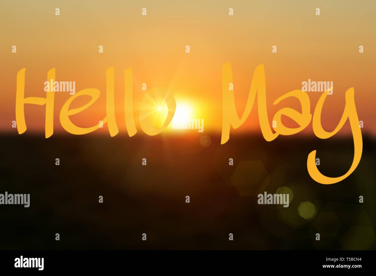 Banner Hello May. Greeting the new month. Hi spring. The text in the ...