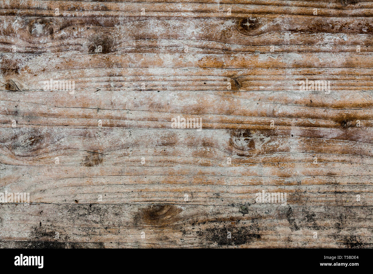 Treated wood texture hi-res stock photography and images - Alamy