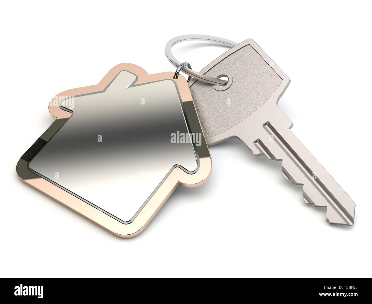 Key and house, 3D illustration Stock Photo - Alamy