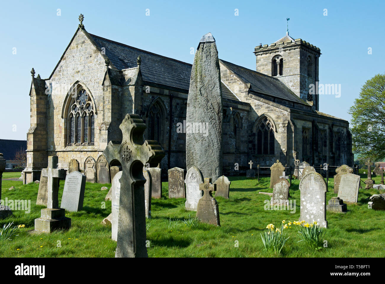 The tallest prehistoric standing stone in Britain, in the churchyard of ...
