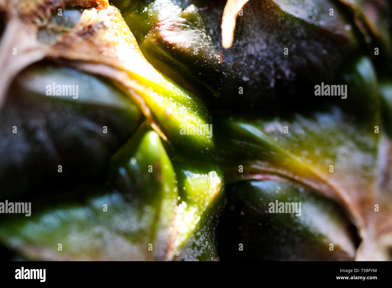 Harsh surface hi-res stock photography and images - Alamy