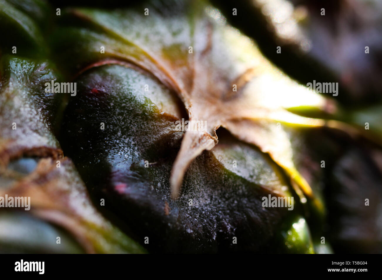 Harsh surface hi-res stock photography and images - Alamy