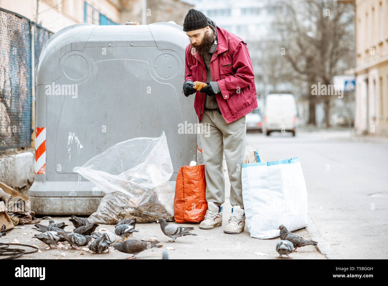 Homeless pigeons hi-res stock photography and images - Alamy