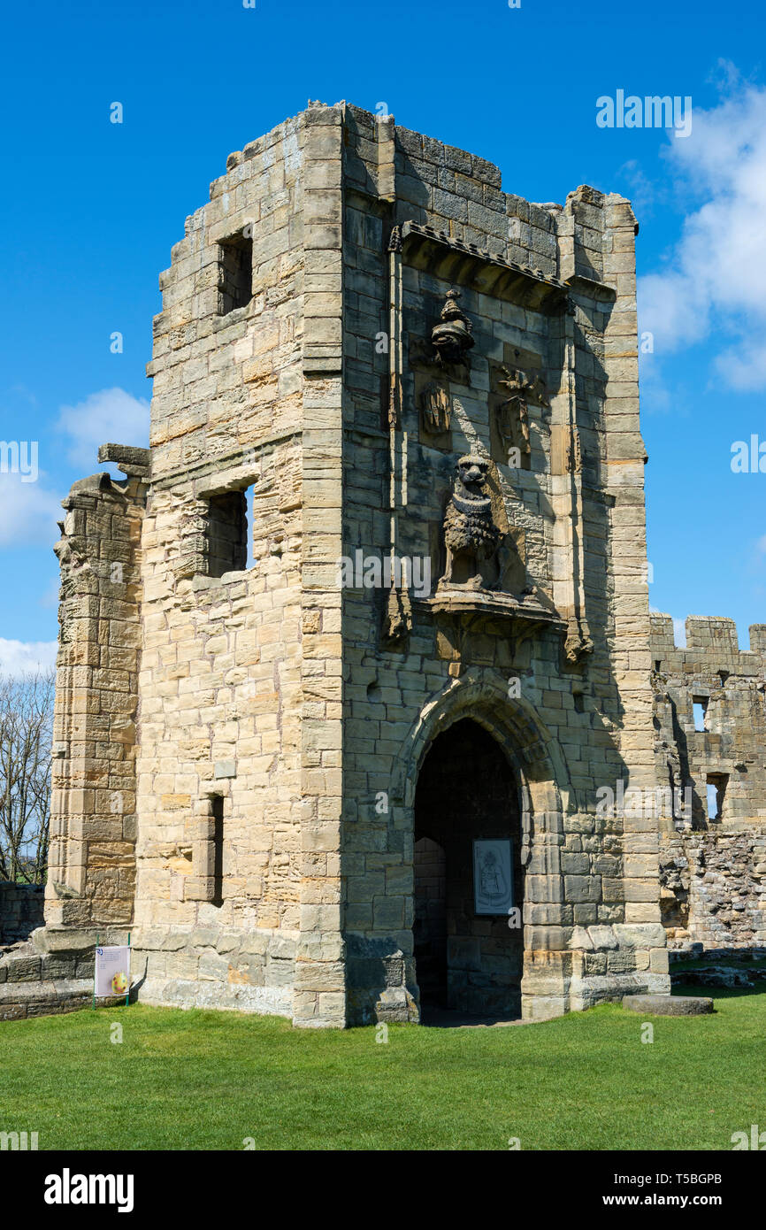 Lion Tower, part of the remains of the Hall Range, at Warkworth Castle ...