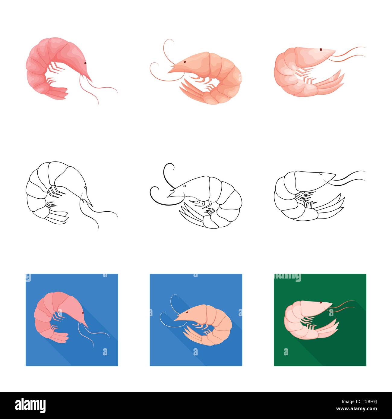 prawn,creature,raw,boiled,fresh,cooked,restaurant,luxury,underwater ...