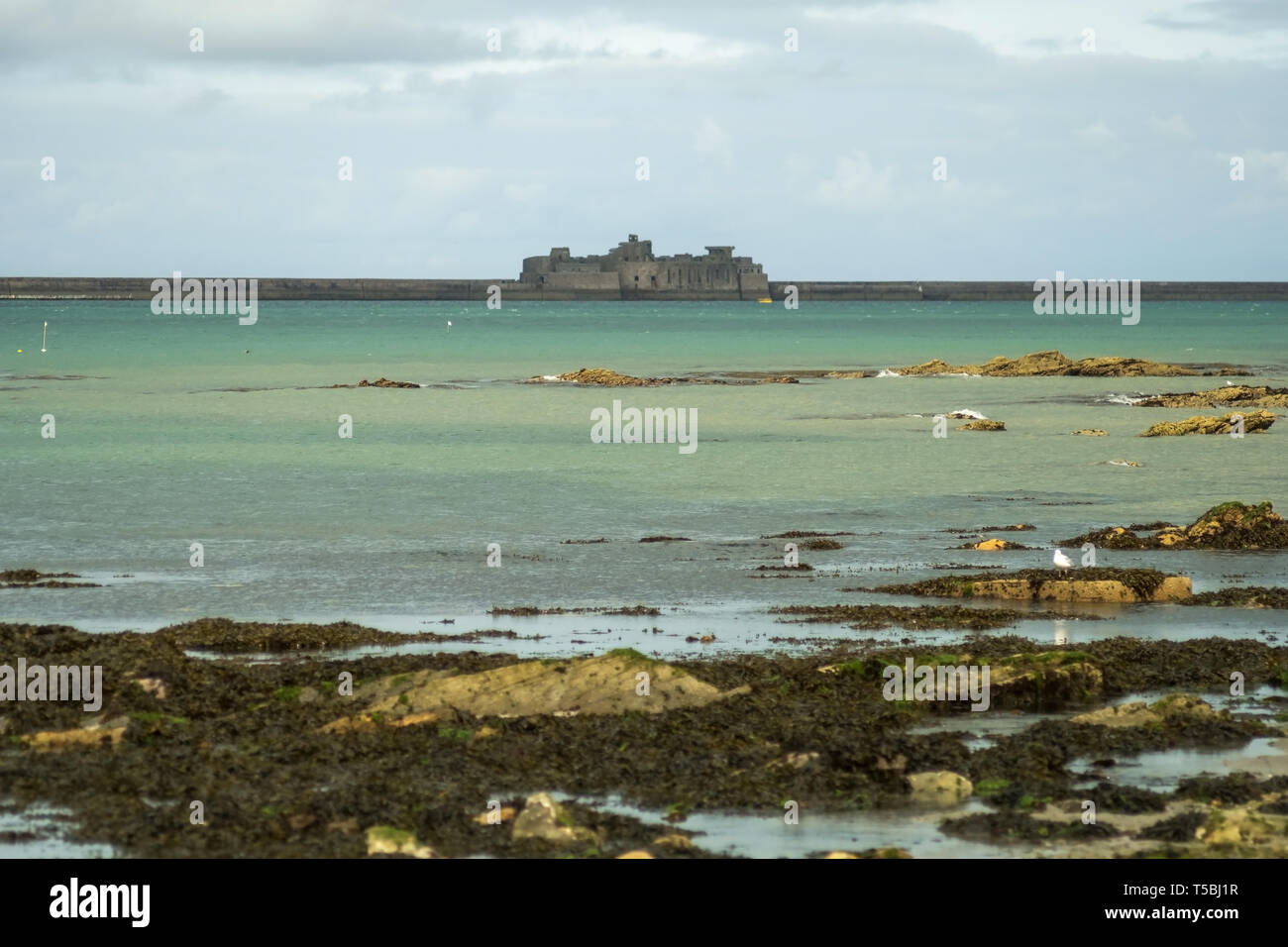 Cherbourg Octeville Coast Children And Adults On The Beach In