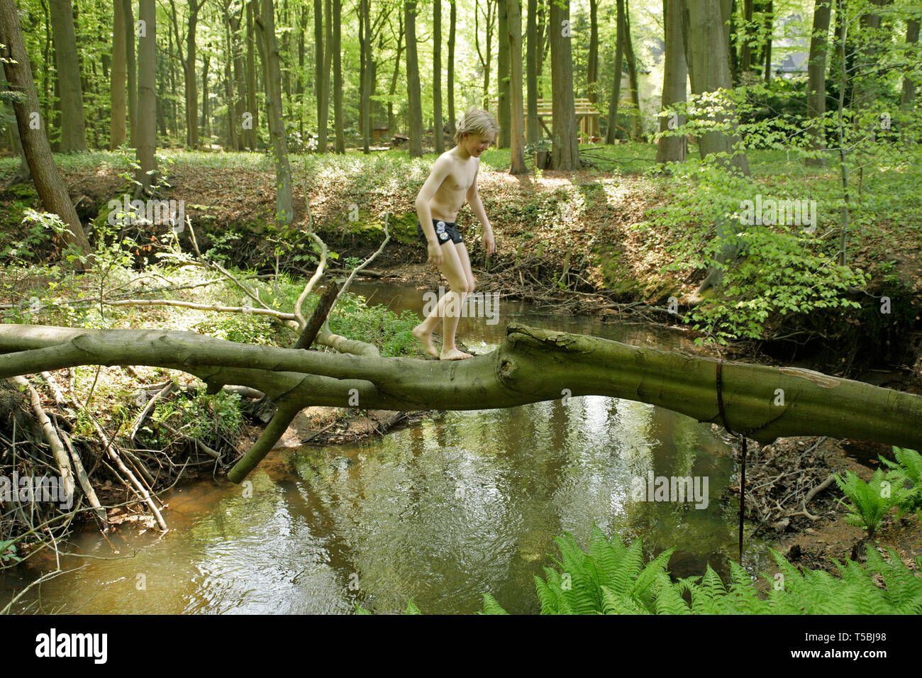 young boy walking barefoot over a tree trunk that is lying across a ...
