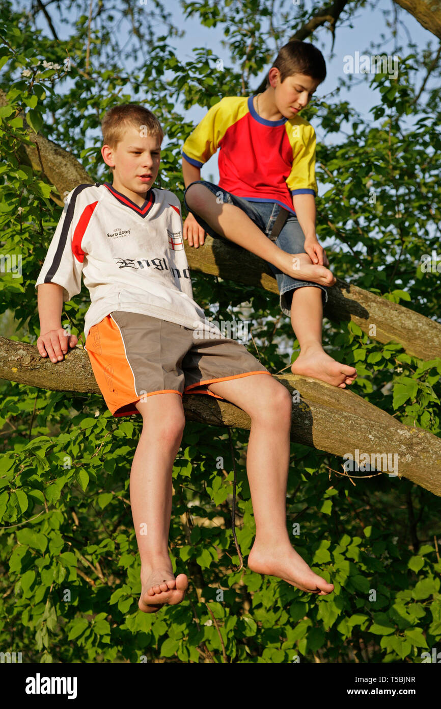 Page 2 - Boy Climbing Tree Barefoot High Resolution Stock Photography ...