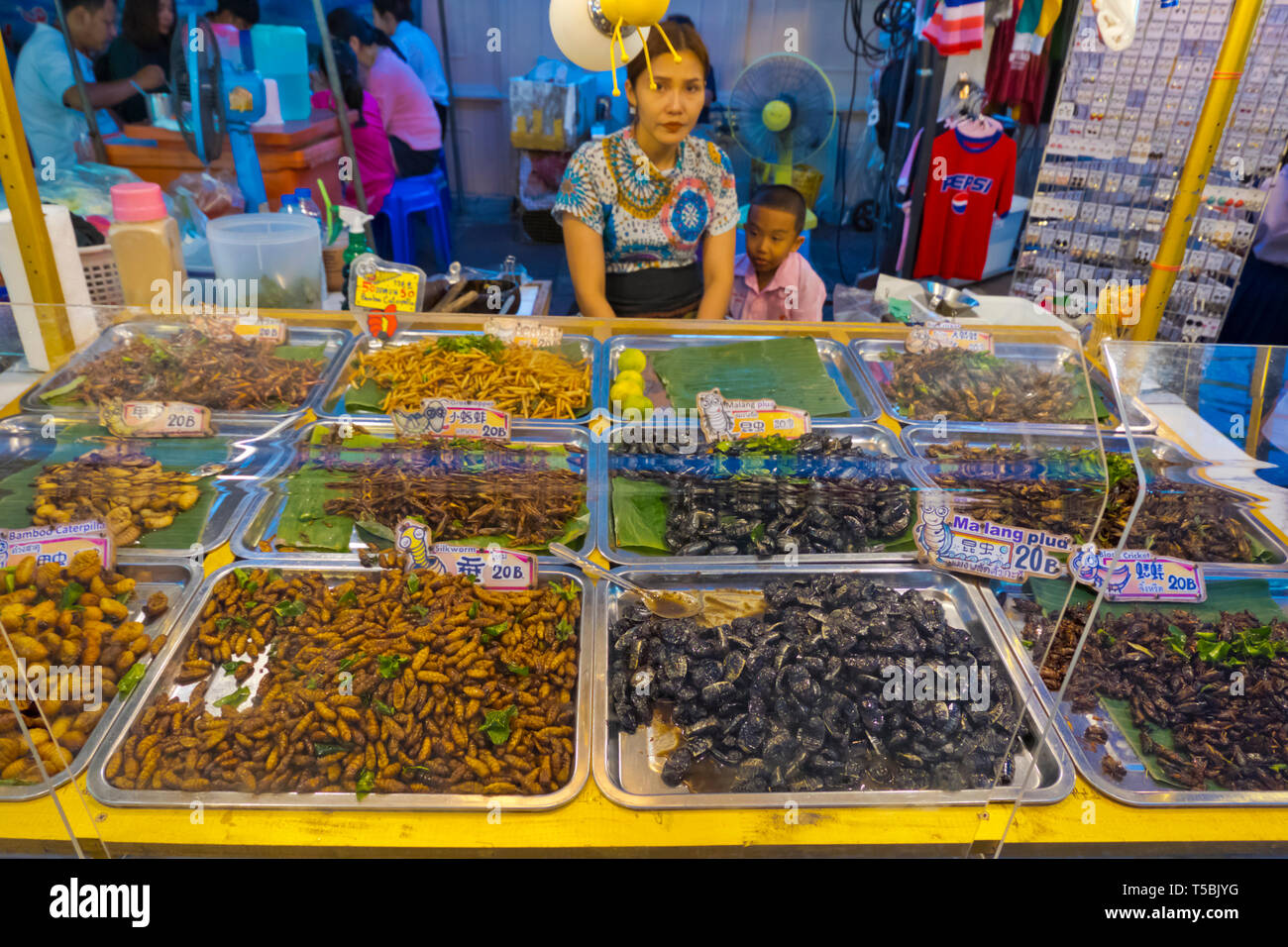 Thai insects hi-res stock photography and images - Alamy