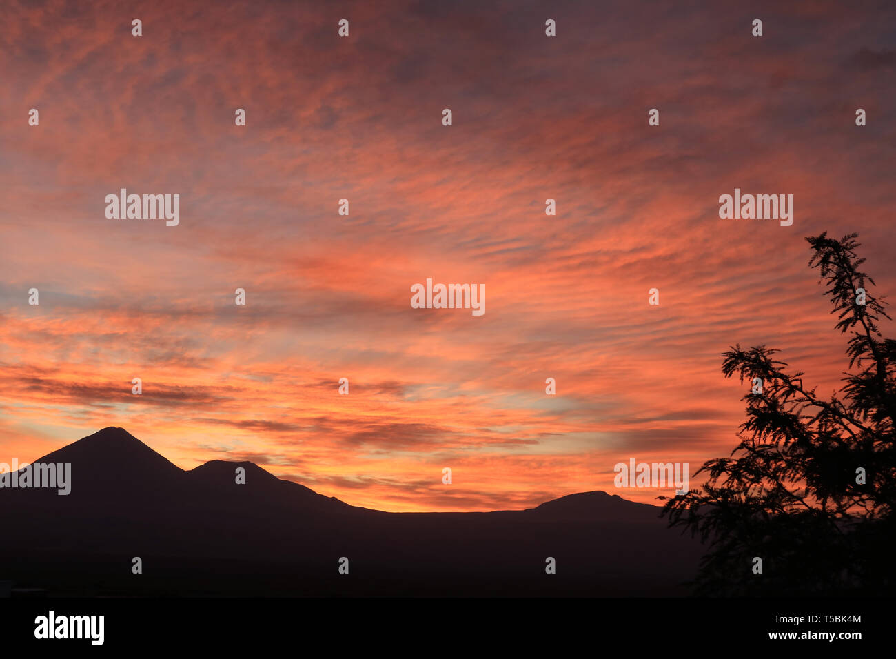 Gradients in nature hi-res stock photography and images - Alamy