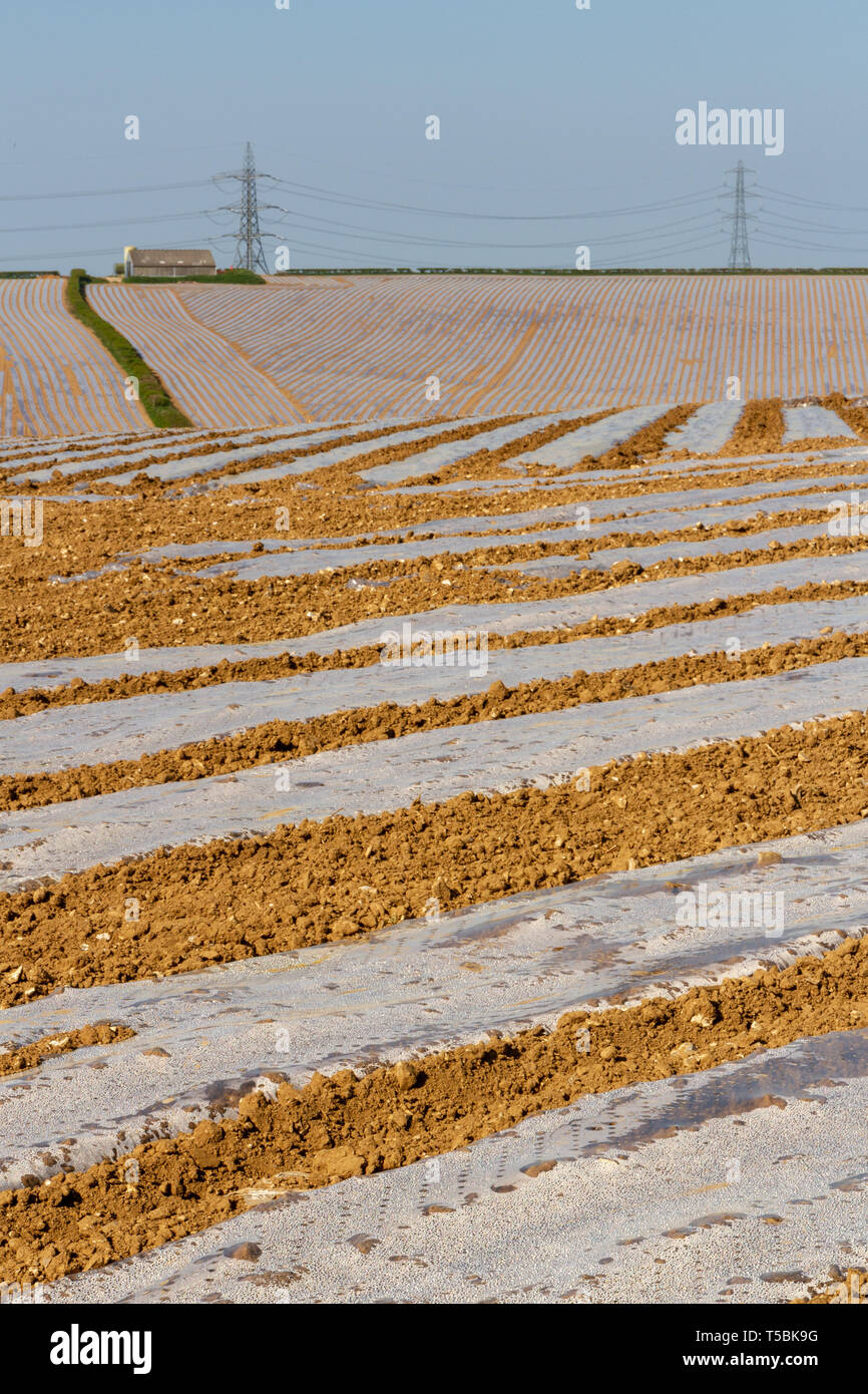 Strips field hi-res stock photography and images - Alamy