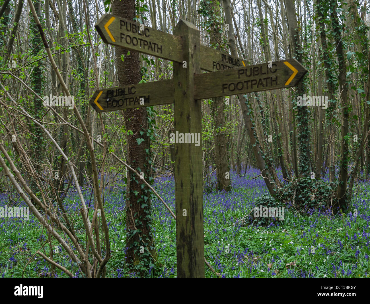 Canopy signs hi-res stock photography and images - Alamy