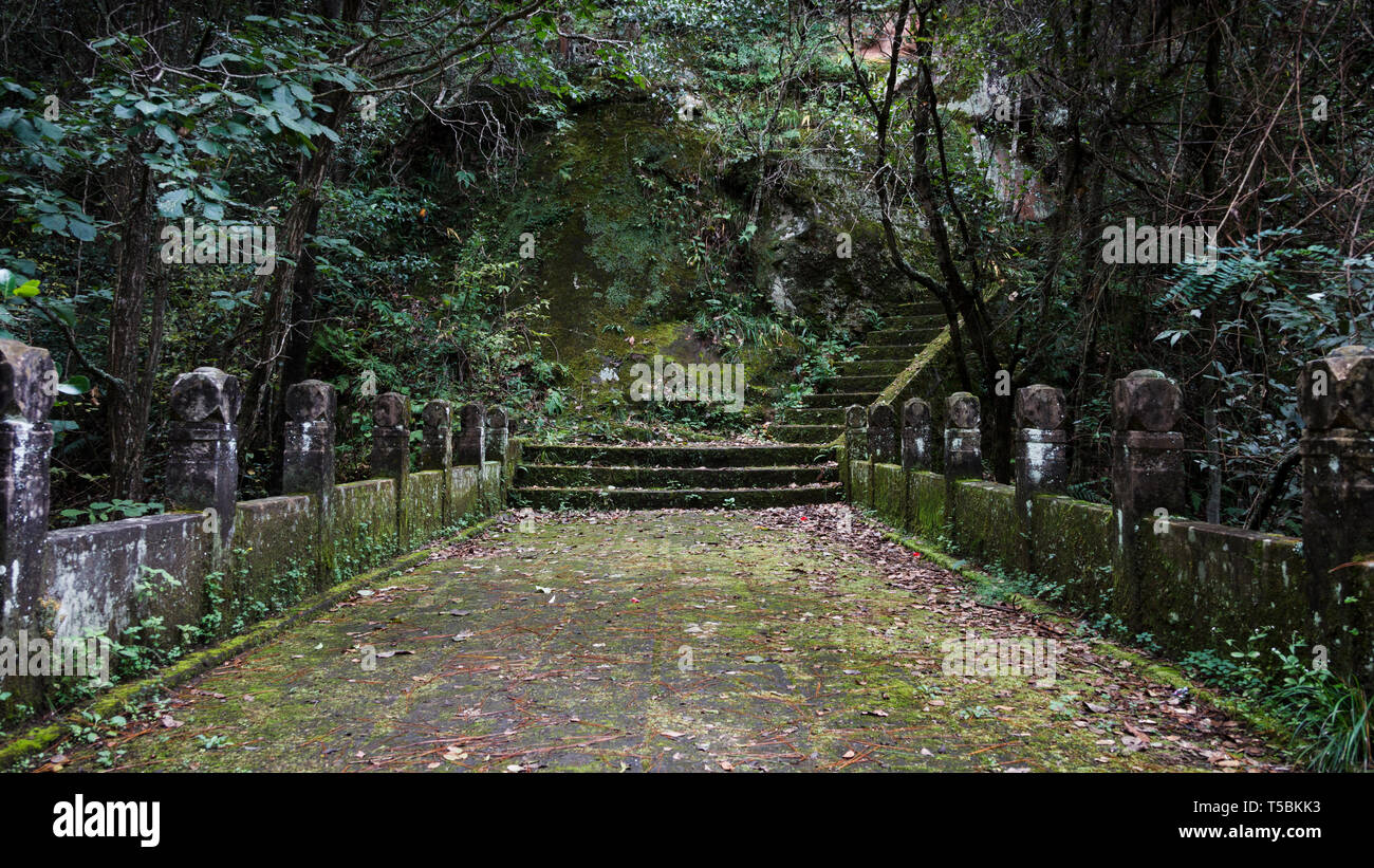 Moss covered bridge hi-res stock photography and images - Alamy