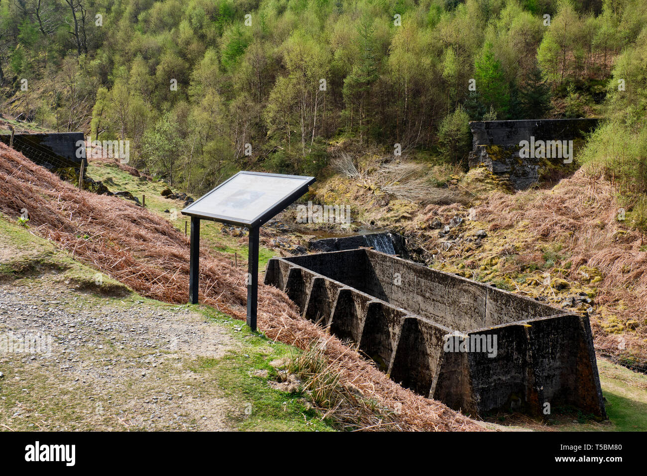 The ruins of Nant y Gro dam beside Caban-coch Reservoir at Elan Valley ...