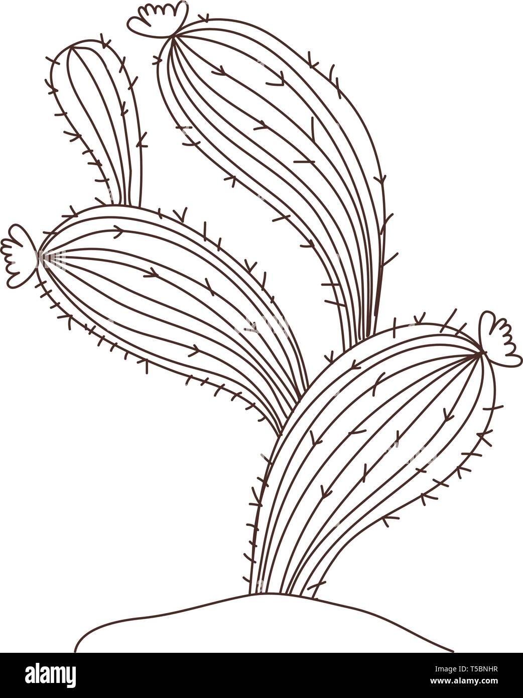 Cactus plants in dry Stock Vector Images - Alamy